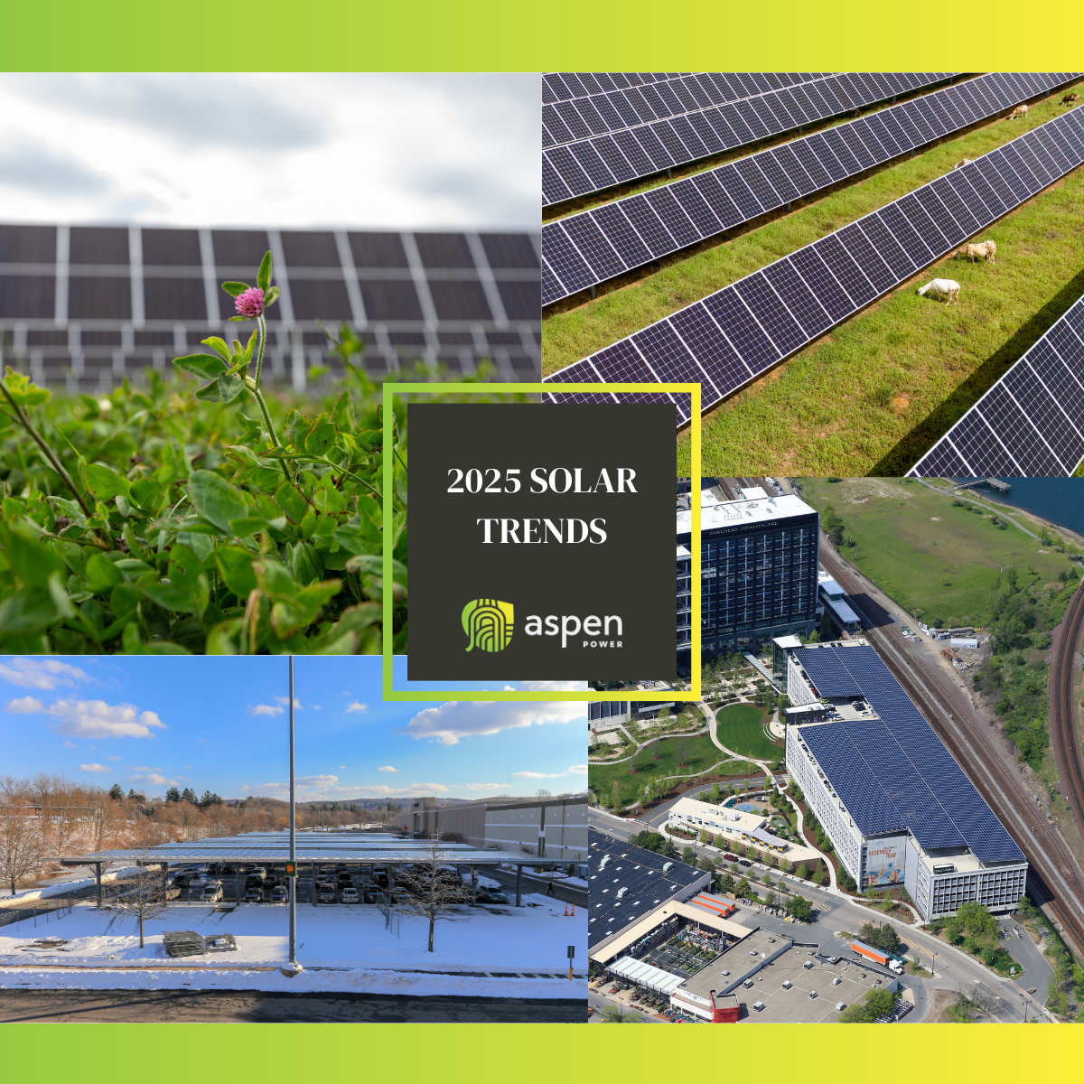 2025 Solar Trends & Innovations Driving the Renewable Revolution